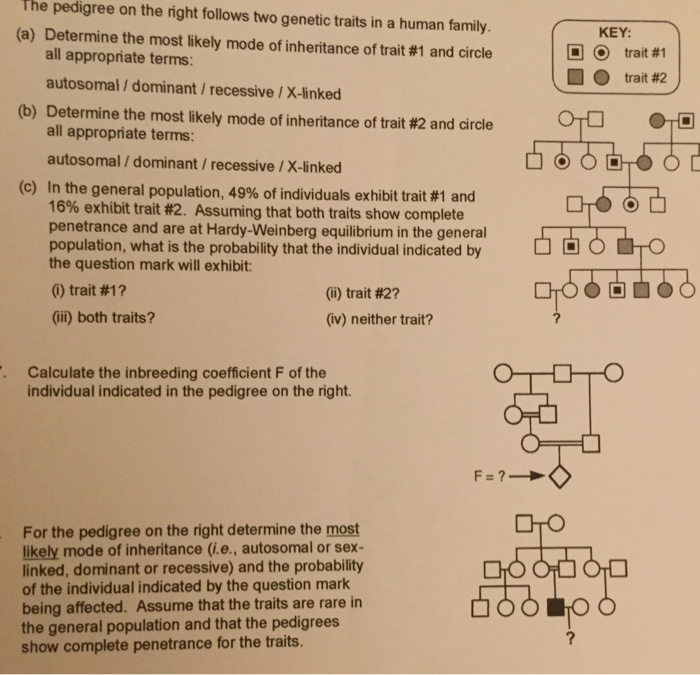 Solved The pedigree on the right follows two genetic traits | Chegg.com