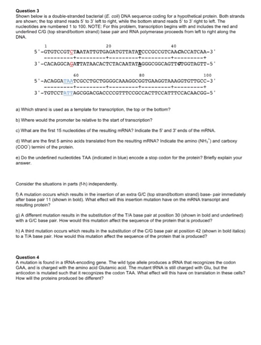 Solved Practice Problems for Molecular Biology, Session 3: | Chegg.com
