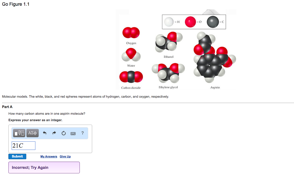 Solved Molecular models. The white, black, and red spheres | Chegg.com