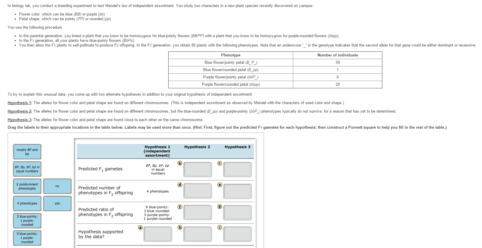 Solved Make Connections: Chromosomal Inheritance and | Chegg.com