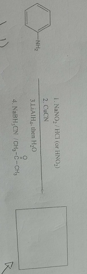 Solved I. NaNO2/HCl (or HNO2) 2. CuCN 3.LiAlH4, then H2O NH2 | Chegg.com