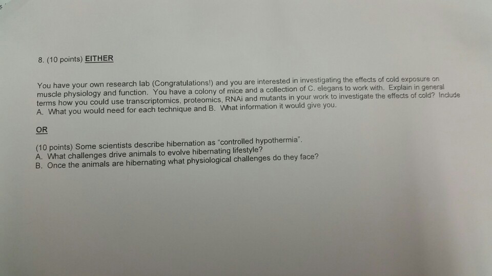 Solved 8. (10 points) EITHER research lab (Congratulations!) | Chegg.com