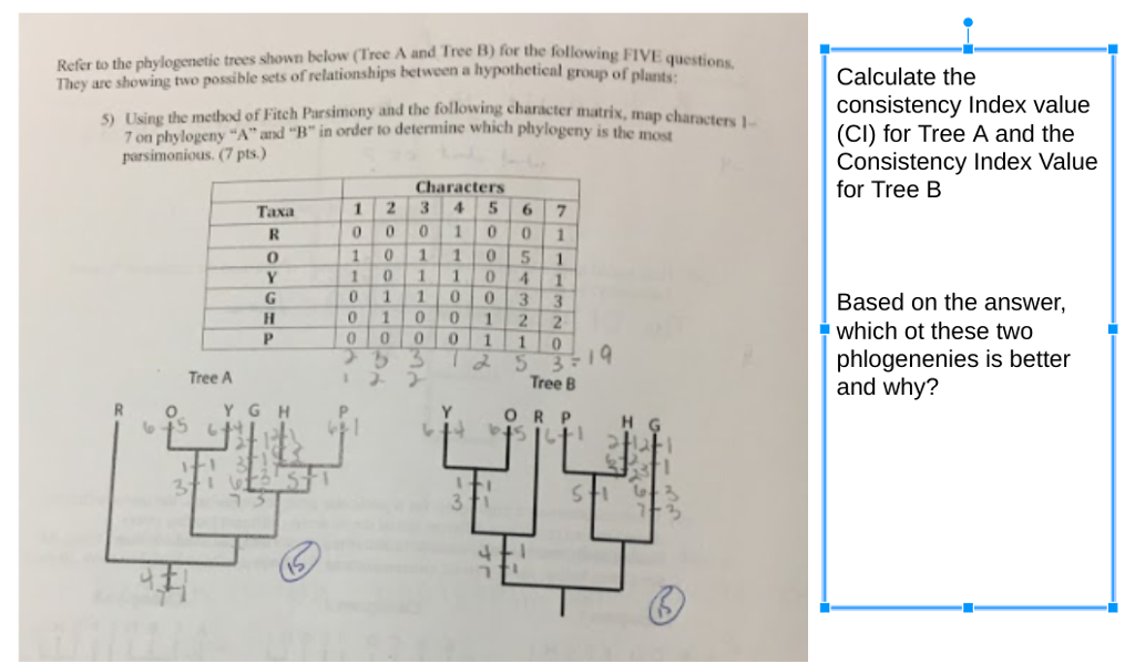 Refer to the phylogenetic trees shown below (Tree A | Chegg.com