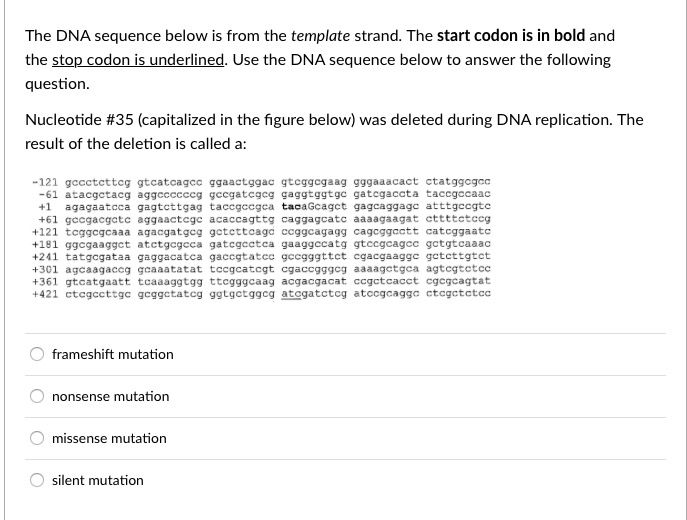 Solved The DNA sequence below is from the template strand. | Chegg.com