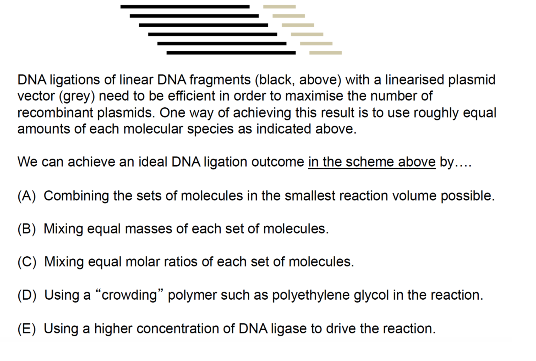 Solved DNA ligations of linear DNA fragments (black, | Chegg.com