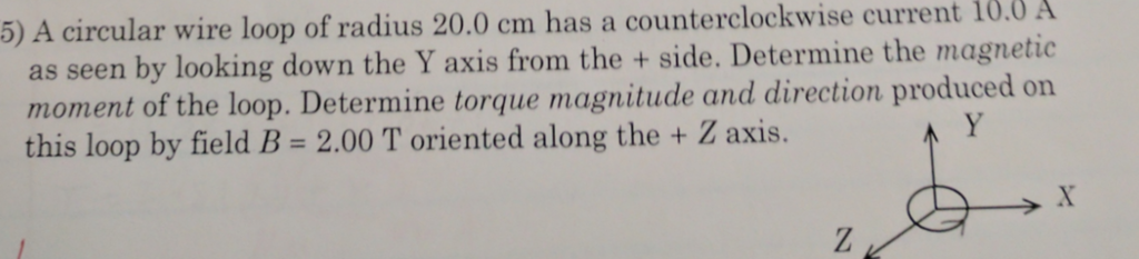 Solved 5) A circular wire loop of radius 20.0 cm has a | Chegg.com