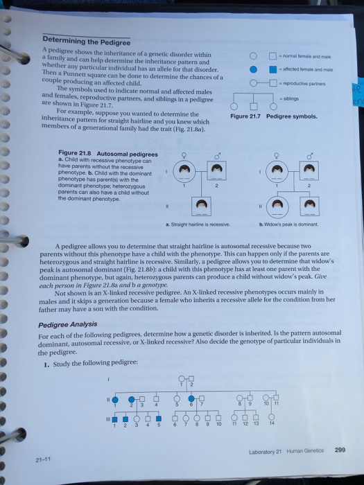 Solved Autosomal Dominant and Recessive Traits Figure 21.2 | Chegg.com
