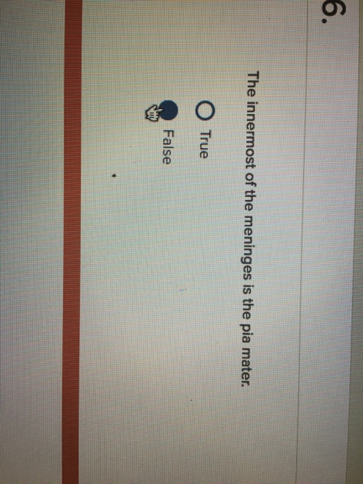 Solved The innermost of the meanings is the pia mater. True | Chegg.com
