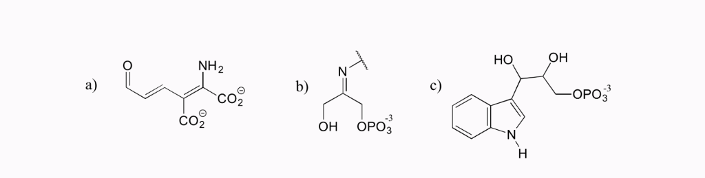 Solved The structures below all contain either an imine or | Chegg.com