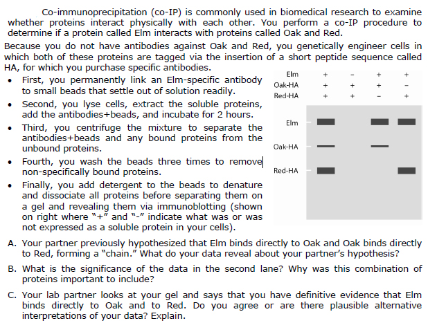 Solved Co-immunoprecipitation (co-IP) is commonly used in | Chegg.com