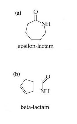 Cyclic Amide Hydrolysis