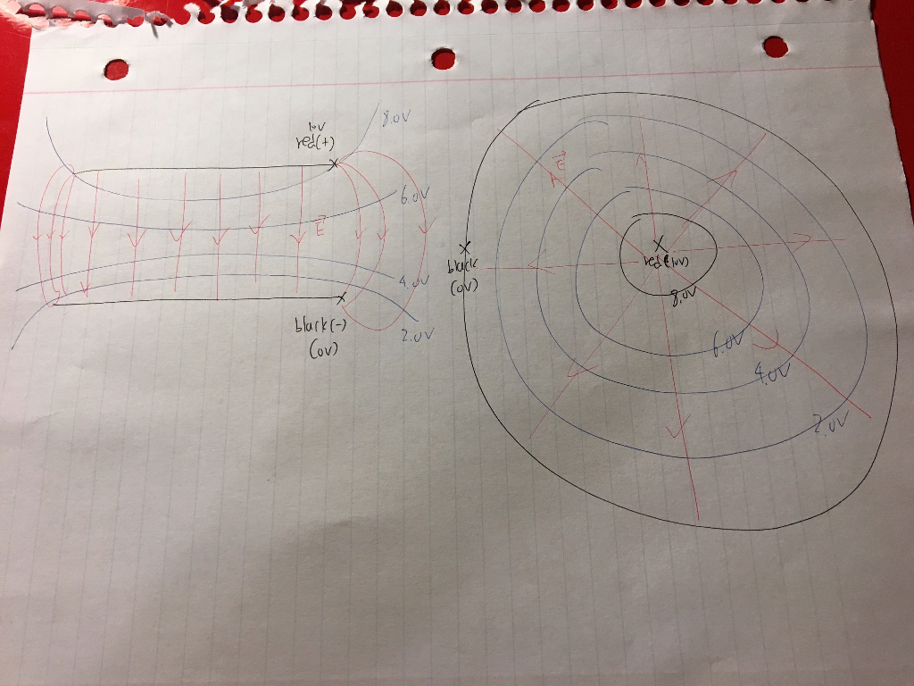 Solved Equipotential Lines and Electric Fields Procedure. | Chegg.com