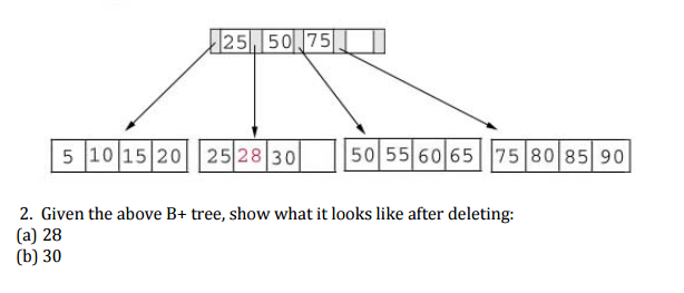 Solved Given the above B+ tree, show what it looks like | Chegg.com