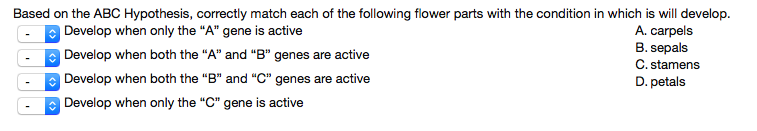 Solved Based on the ABC Hypothesis, correctly match each of | Chegg.com