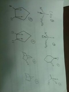Solved identify each asymmetric carbon atom in the following | Chegg.com