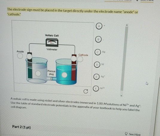 Solved The electrode sign must be placed in the target | Chegg.com