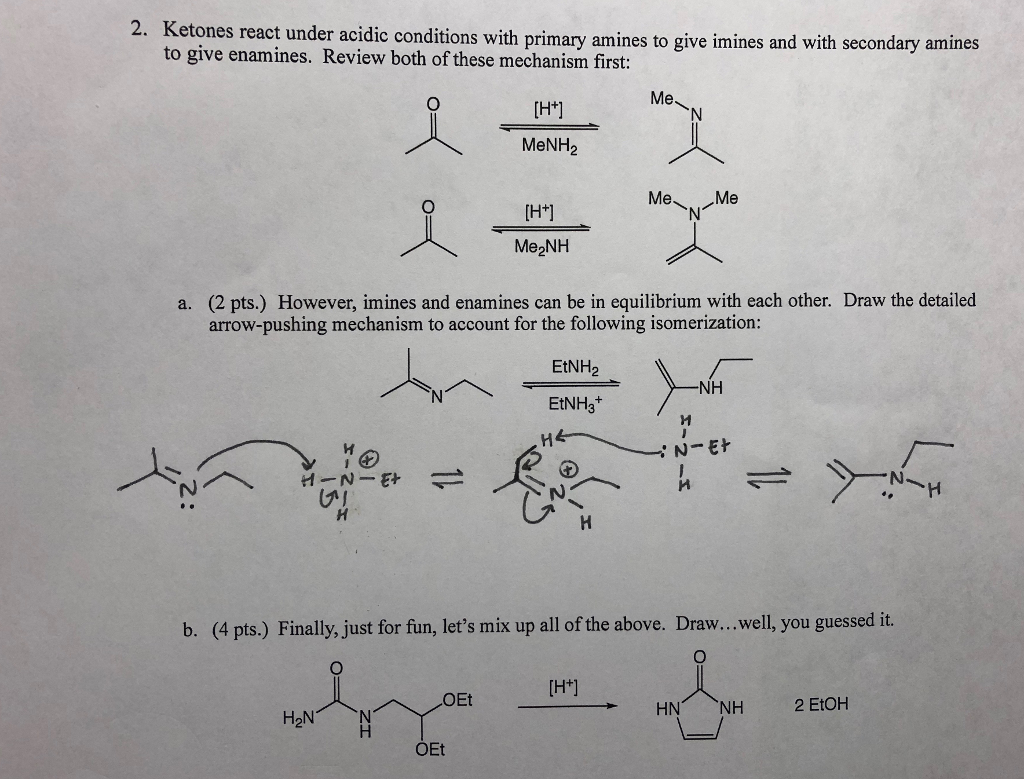 Solved 2. Ketones react under acidic conditions with primary | Chegg.com