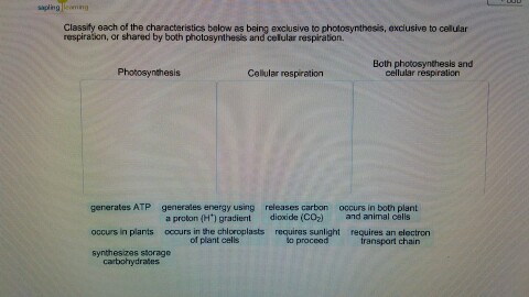 Solved Classify each of the characteristics below as being | Chegg.com