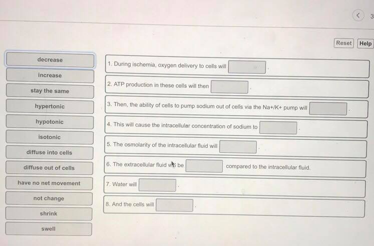 Solved Reset Help decrease 1. During ischemia, oxygen | Chegg.com