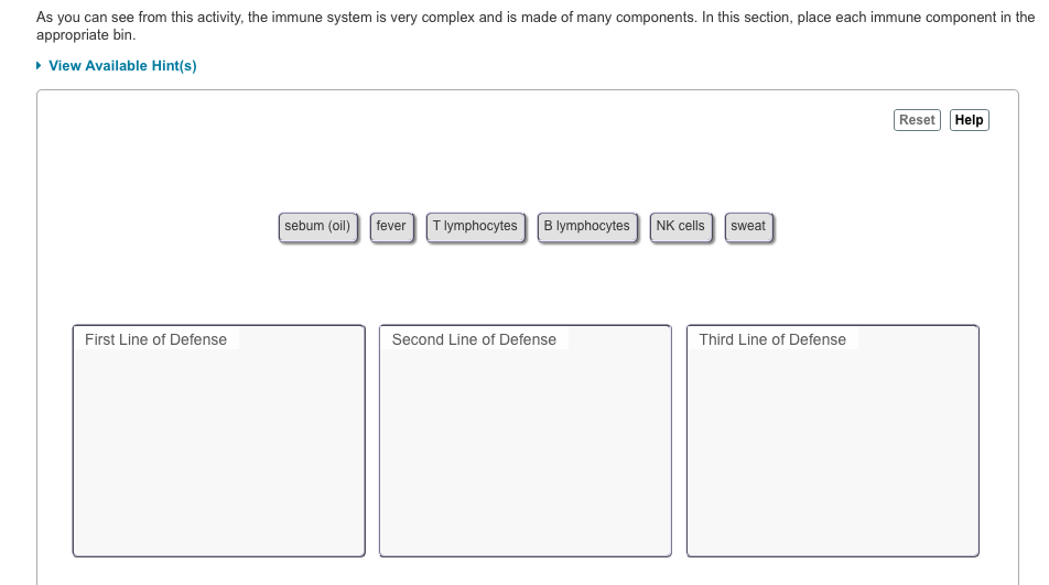 Solved As you can see from this activity, the immune system | Chegg.com
