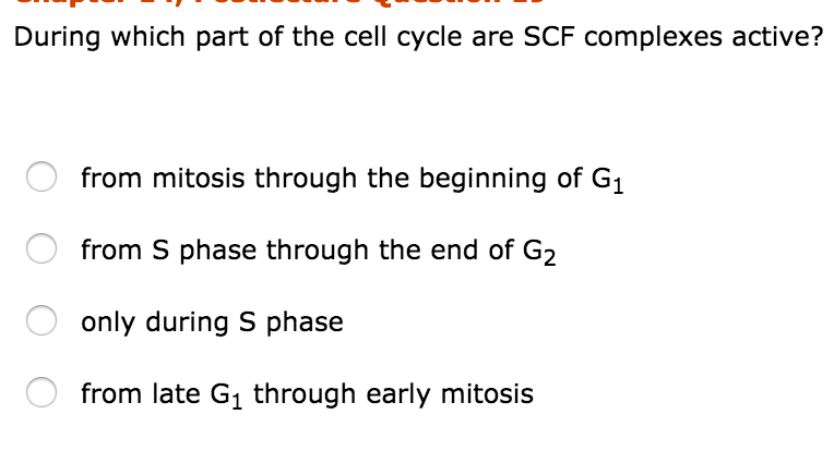 Solved During which part of the cell cycle are SCF complexes | Chegg.com
