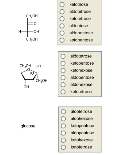 [Solved] Classify the following monosaccharides according to the position of th | SolutionInn