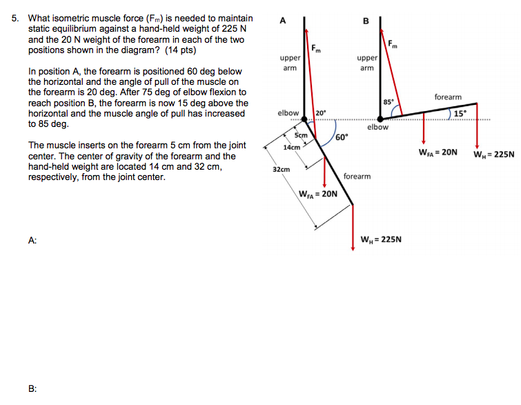 Solved 5. What isometric muscle force (Fm) is needed to | Chegg.com
