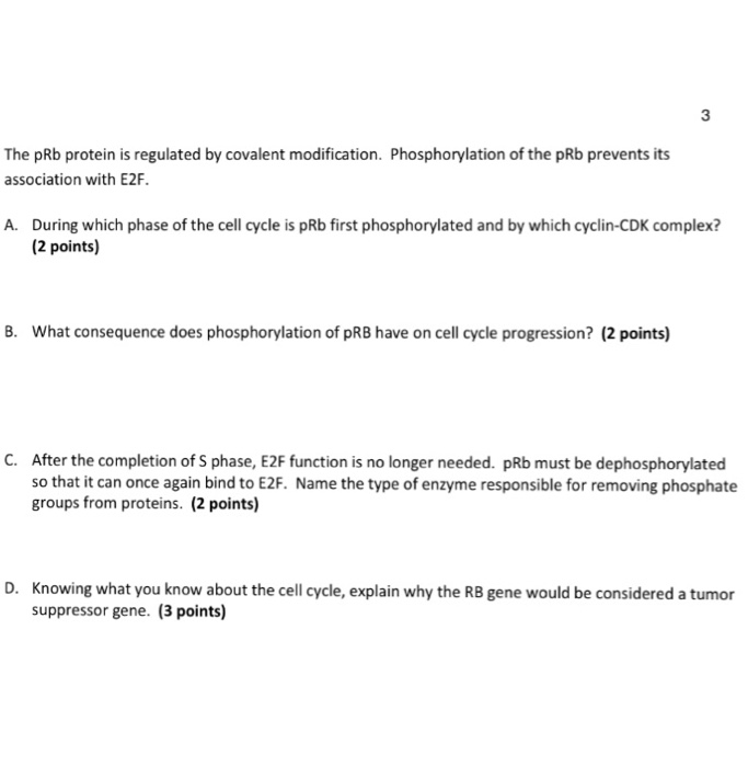 Solved The pRb protein is regulated by covalent | Chegg.com