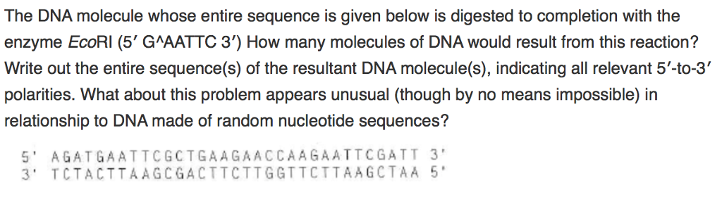 Solved The DNA molecule whose entire sequence is given below | Chegg.com