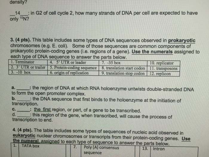 Solved This table includes some types of DNA sequences | Chegg.com