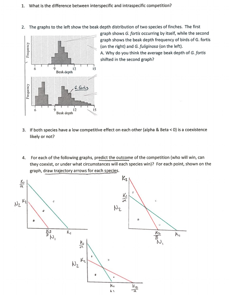 Intraspecific Competition Graph