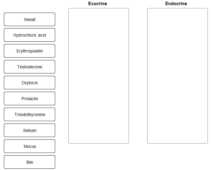 Solved Drag each label to the correct box to indicate | Chegg.com