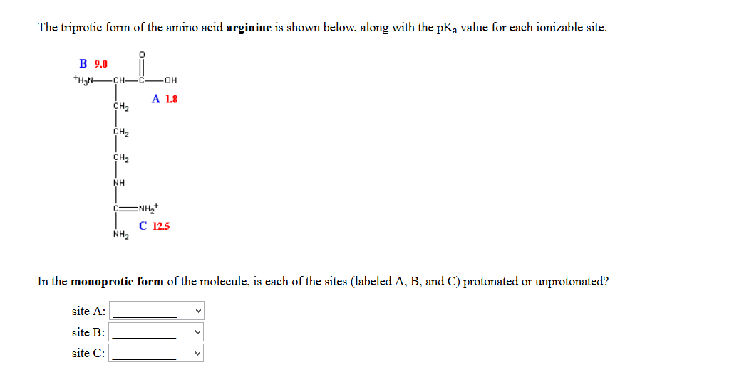 Solved Determine if each site is protonated or | Chegg.com