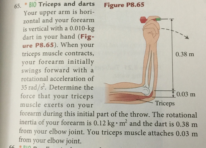 Solved Your upper arm is horizontal and your forearm is | Chegg.com