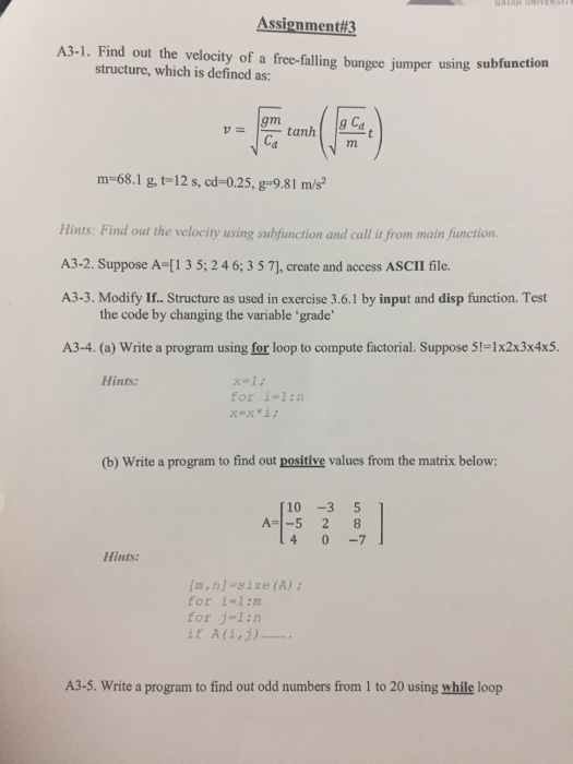 Find out the velocity of a free-falling bungee jumper | Chegg.com