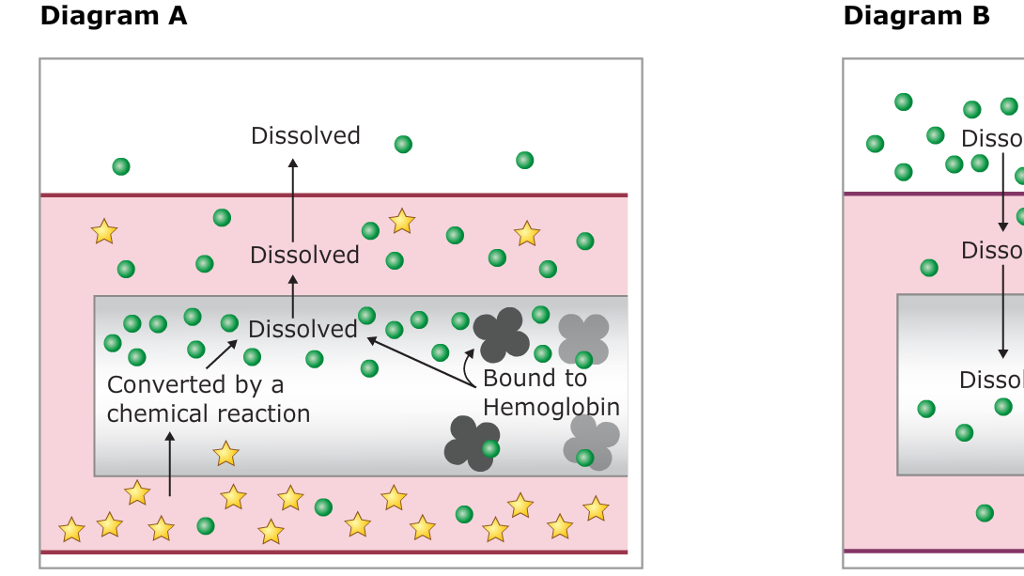 Solved The following diagrams depict the movement of gas | Chegg.com