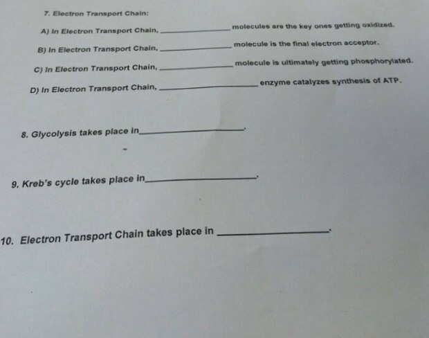 Solved Electron Transport Chain: In Electron Transport | Chegg.com
