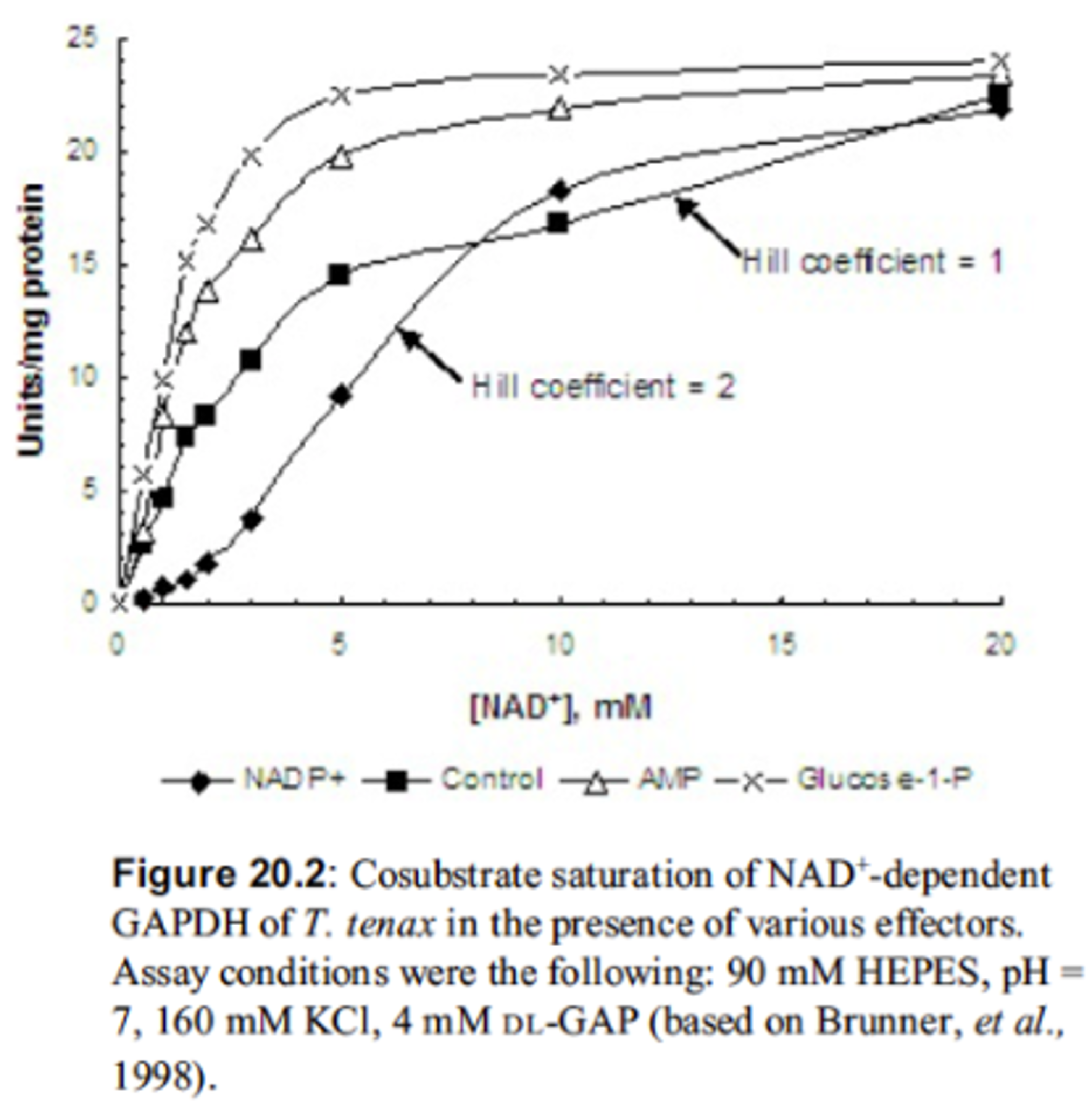 Solved The Hill coefficients for NAD+ binding to the T. | Chegg.com