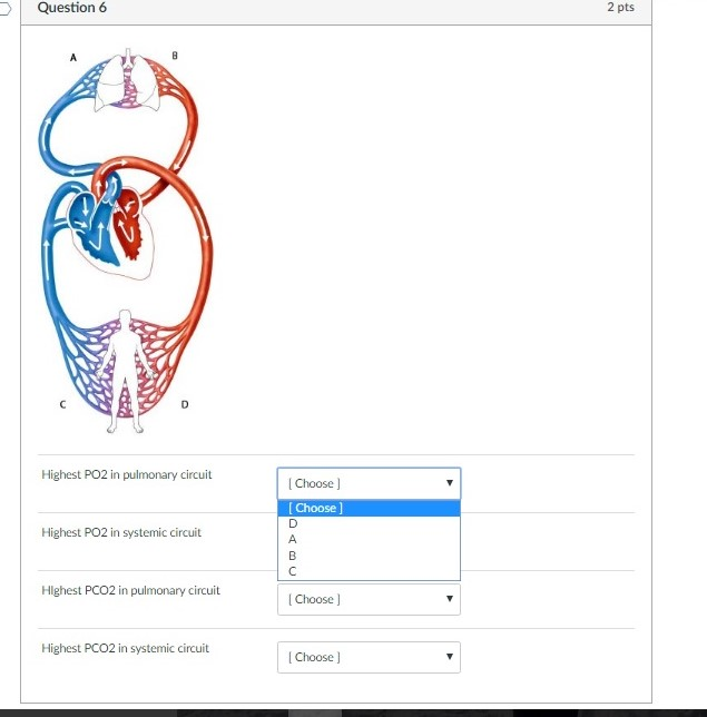 Solved Highest PO2 in pulmonary circuit Highest PO2 in | Chegg.com