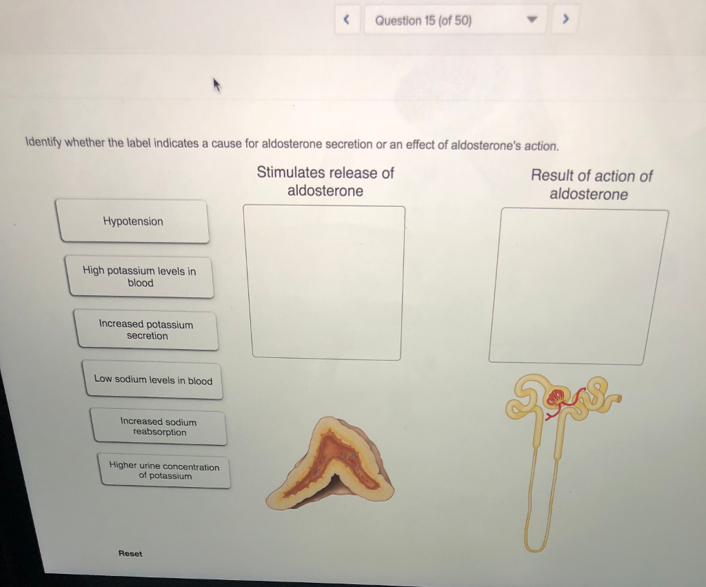 Solved Identify whether the label indicates a cause for | Chegg.com