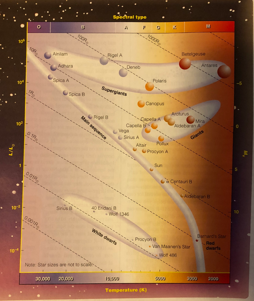 Solved Spectral type 106 Alnilam 、、\Rigel A 、、\ Betelgeuse | Chegg.com