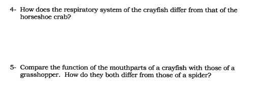 Solved 4- How does the respiratory system of the crayfish | Chegg.com