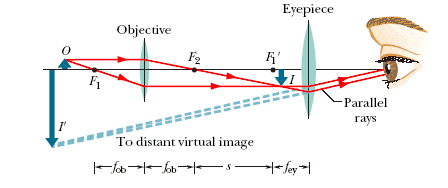 Solved In a microscope of the type shown in the figure, the | Chegg.com