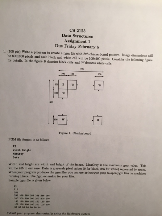 Solved Write A Program To Create A Pgm File With 8x8 Checker 4836