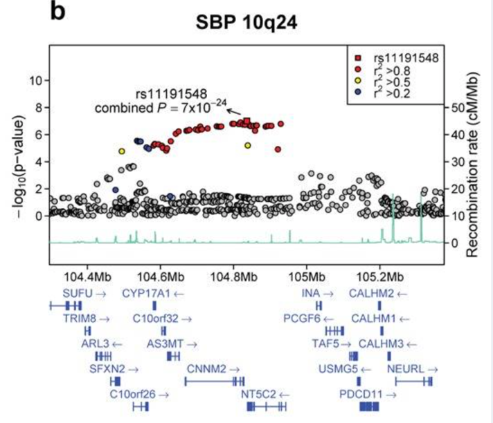 Genetics- Below is a LocusZoom plot from a GWAS for | Chegg.com