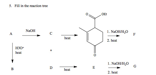 Solved Fill in the reaction tree Fill in the reaction tree | Chegg.com