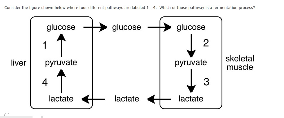 Solved Consider the figure shown below where four different | Chegg.com
