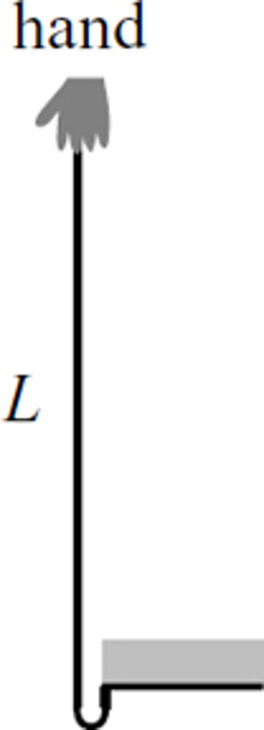 Solved Falling chain A chain with length L and mass | Chegg.com