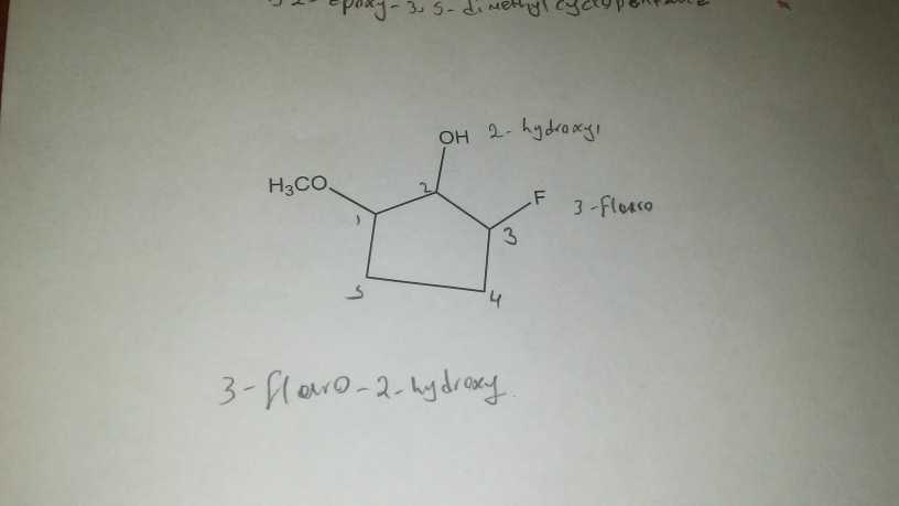 Solved name the structure | Chegg.com