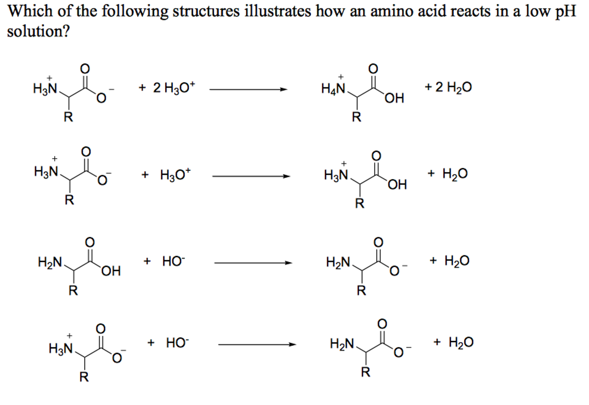 Solved Which of the amino acids does NOT contain a chiral | Chegg.com